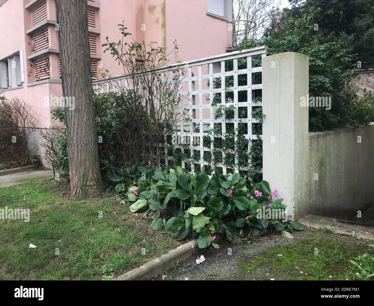 Architectural arrangement of communal spaces hi-res stock photography ...
