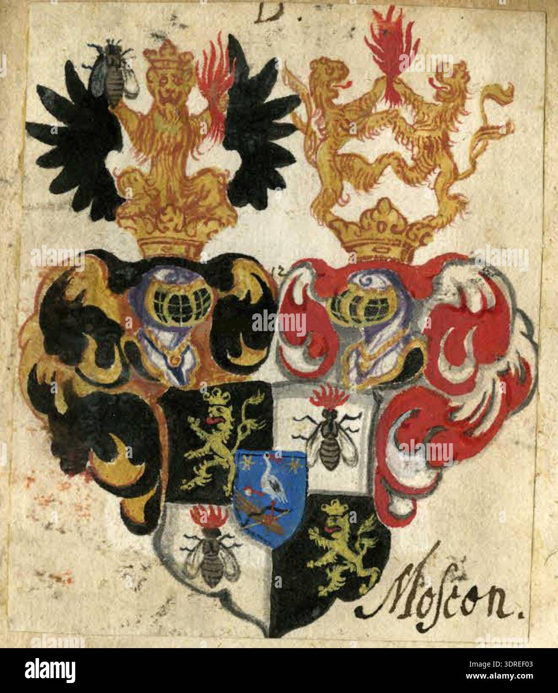 Illustrates heraldic elements including shield hi-res stock photography ...