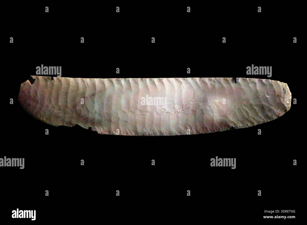 Paleo tool hi-res stock photography and images - Alamy