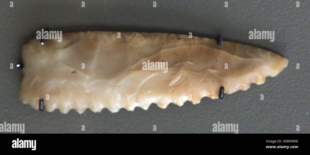 Archaeological photograph of a serrated flintstone blade d 1093 hi-res ...