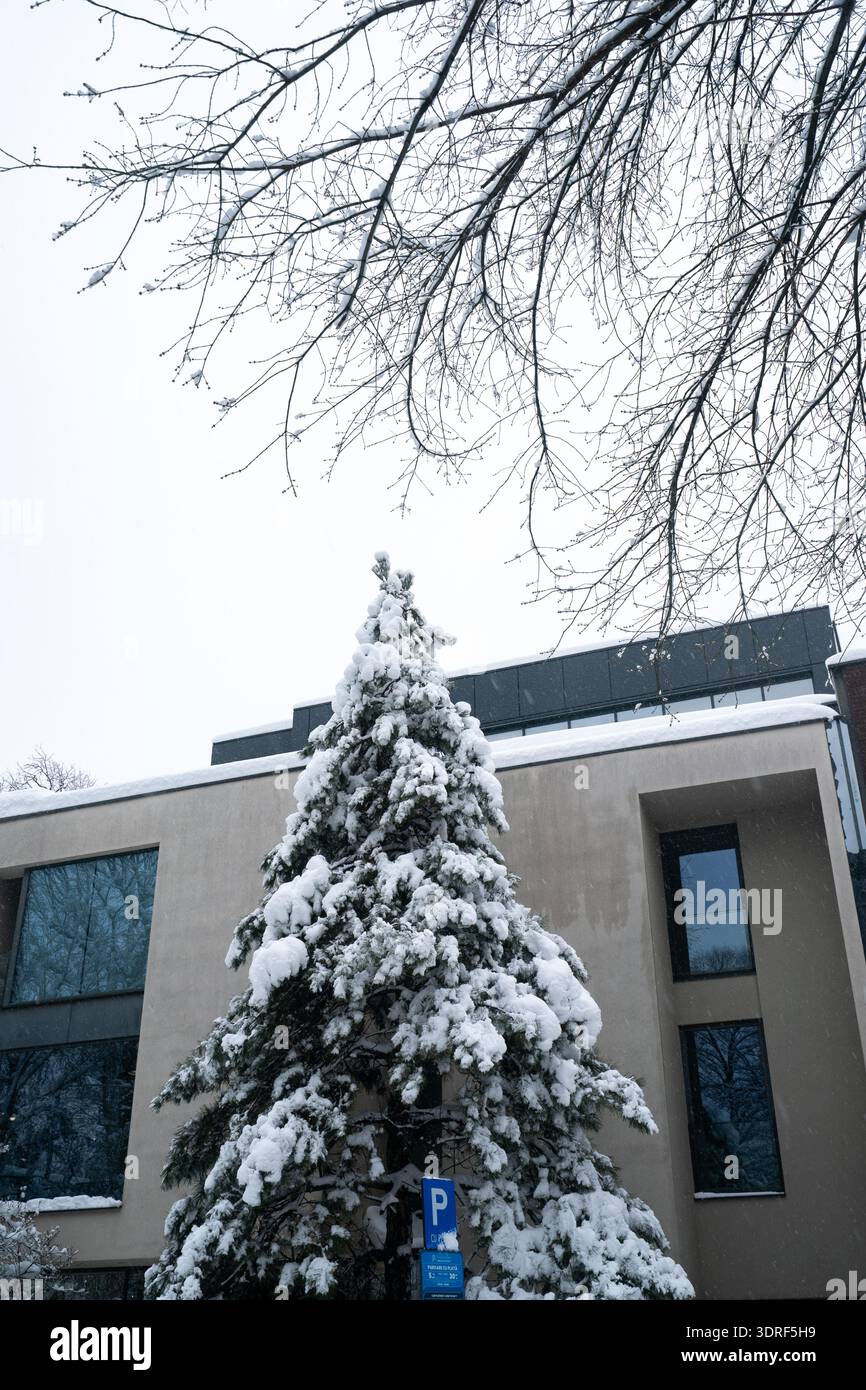 An unexpected snowstorm buried Bucharest under over 25cm of snow on ...