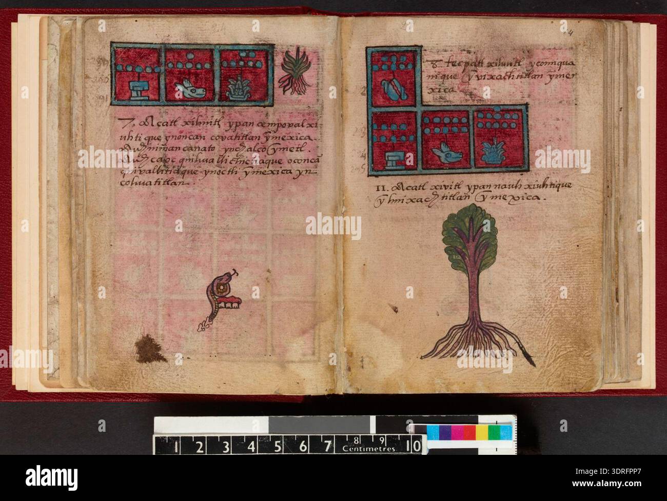 The 1576 Codex Aubin comprises eighty-one European paper leaves bound ...