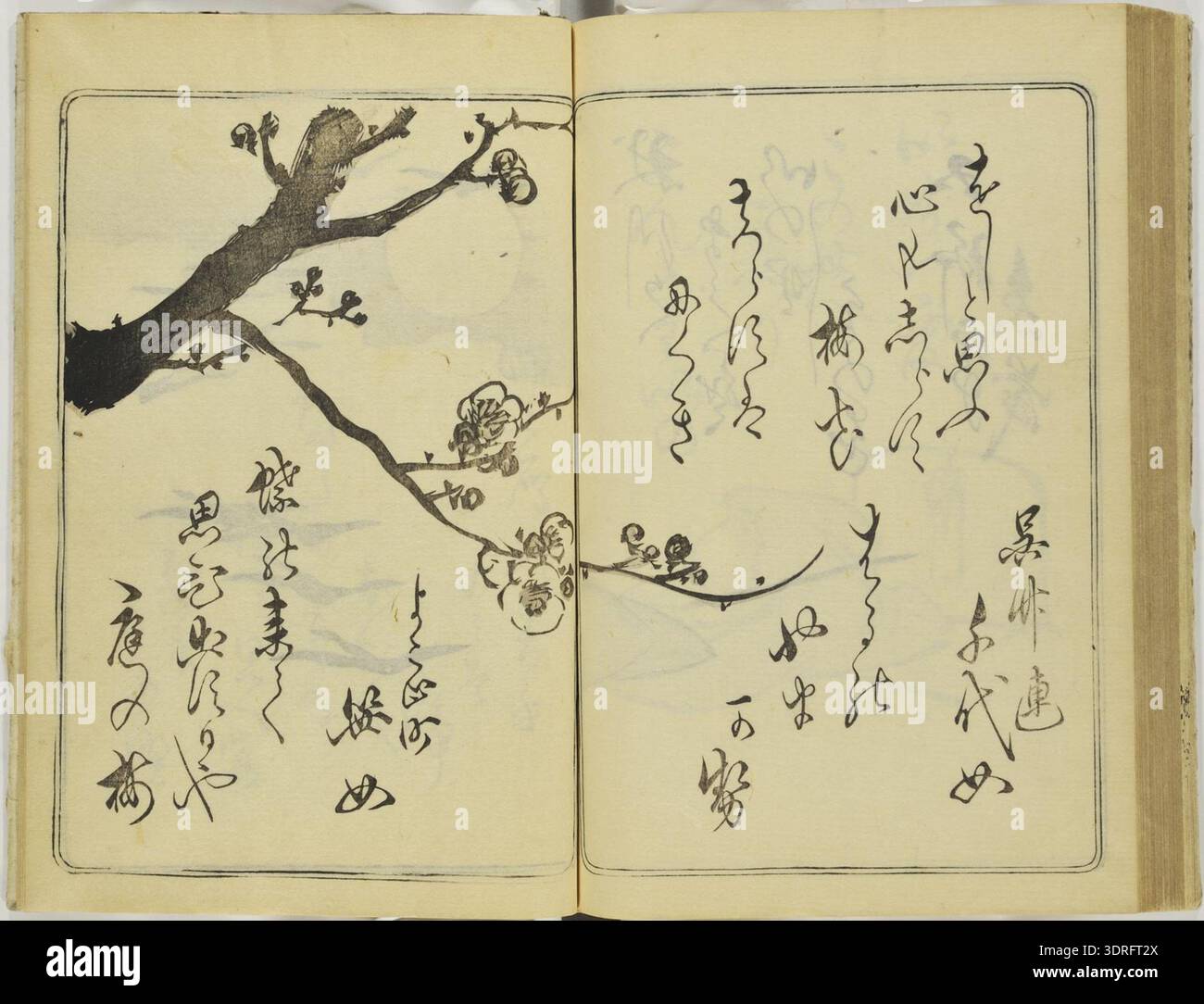 Mid 19th century japanese aesthetic conventions hi-res stock ...