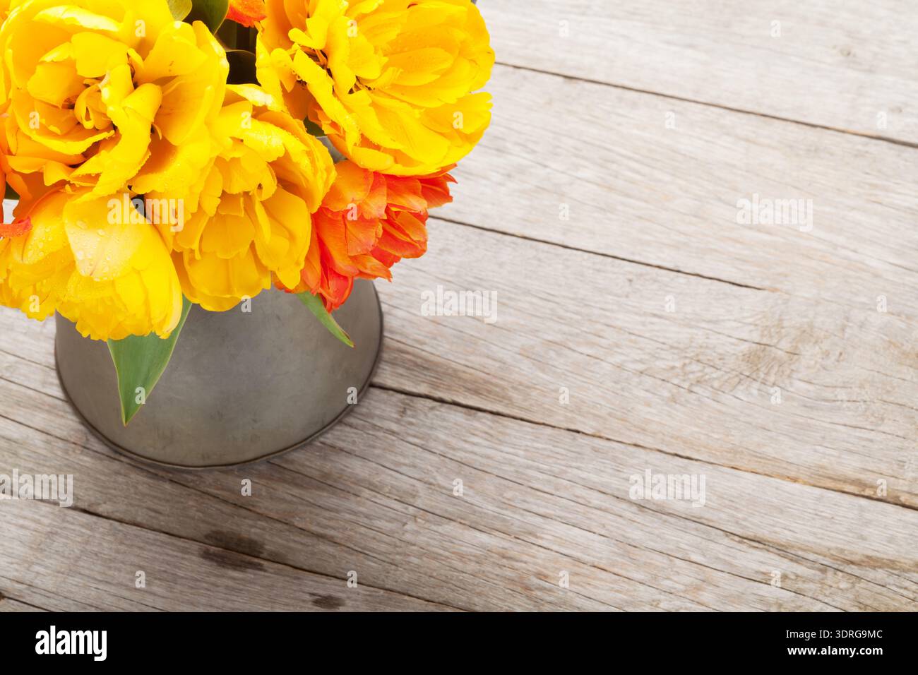 Watering can top view hi-res stock photography and images - Alamy
