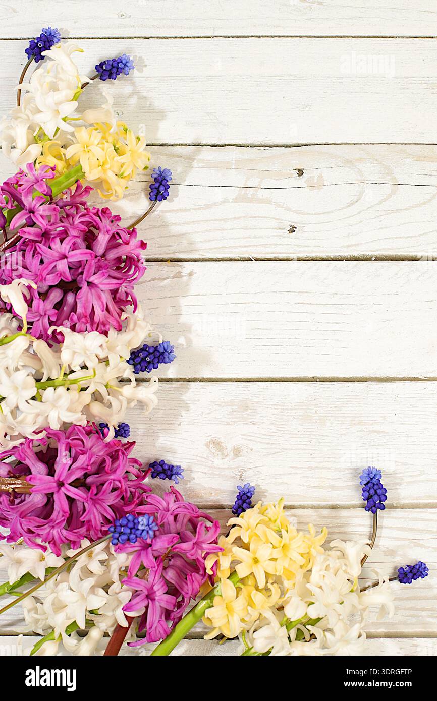 Abstract flower arrangement screen hi-res stock photography and images ...