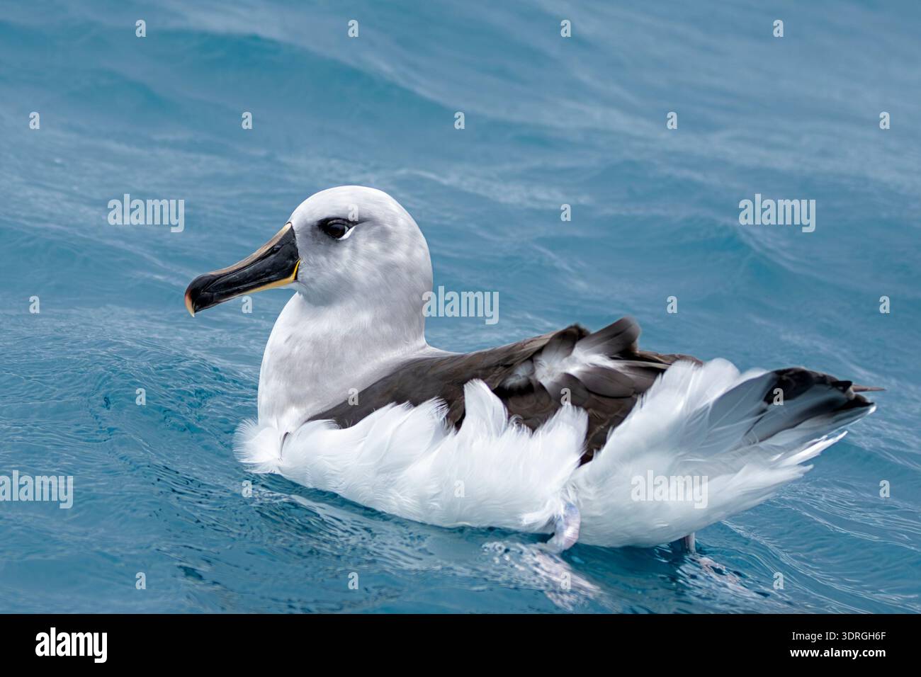 Elses hole hi-res stock photography and images - Alamy