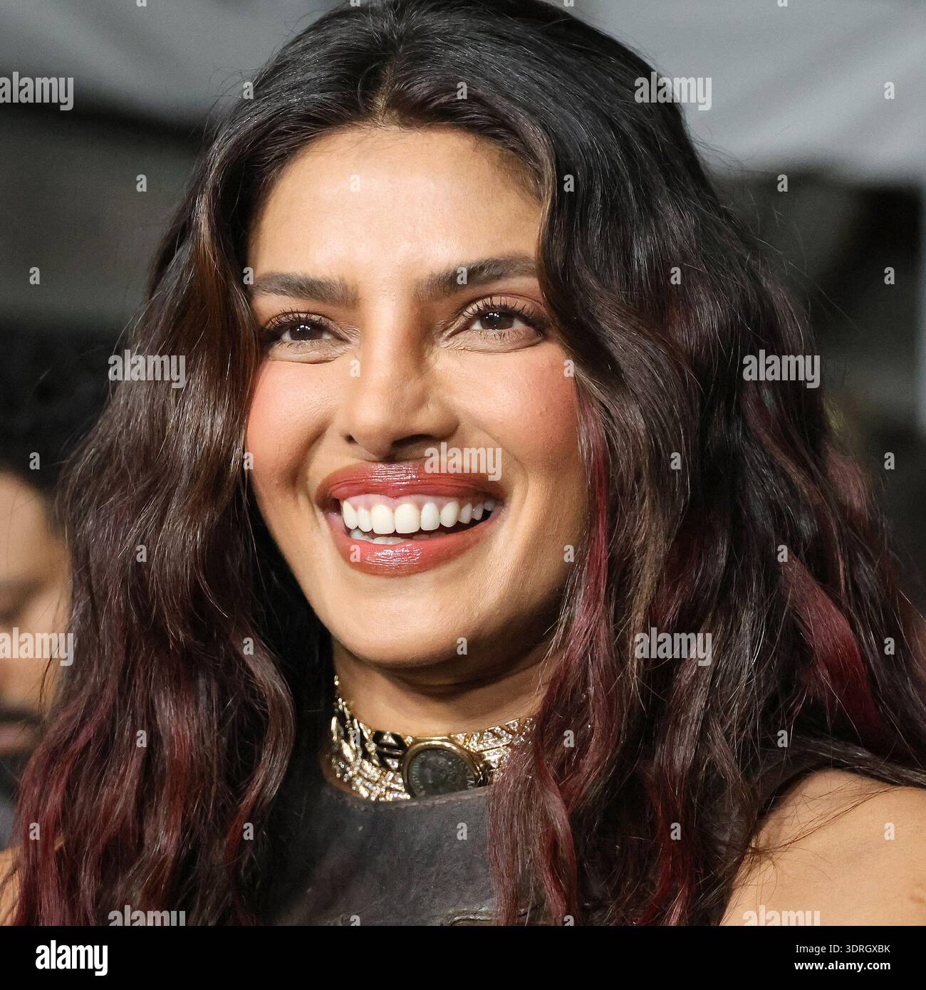 February 17, 2026, Los Angeles, California, USA: Priyanka Chopra Jonas ...