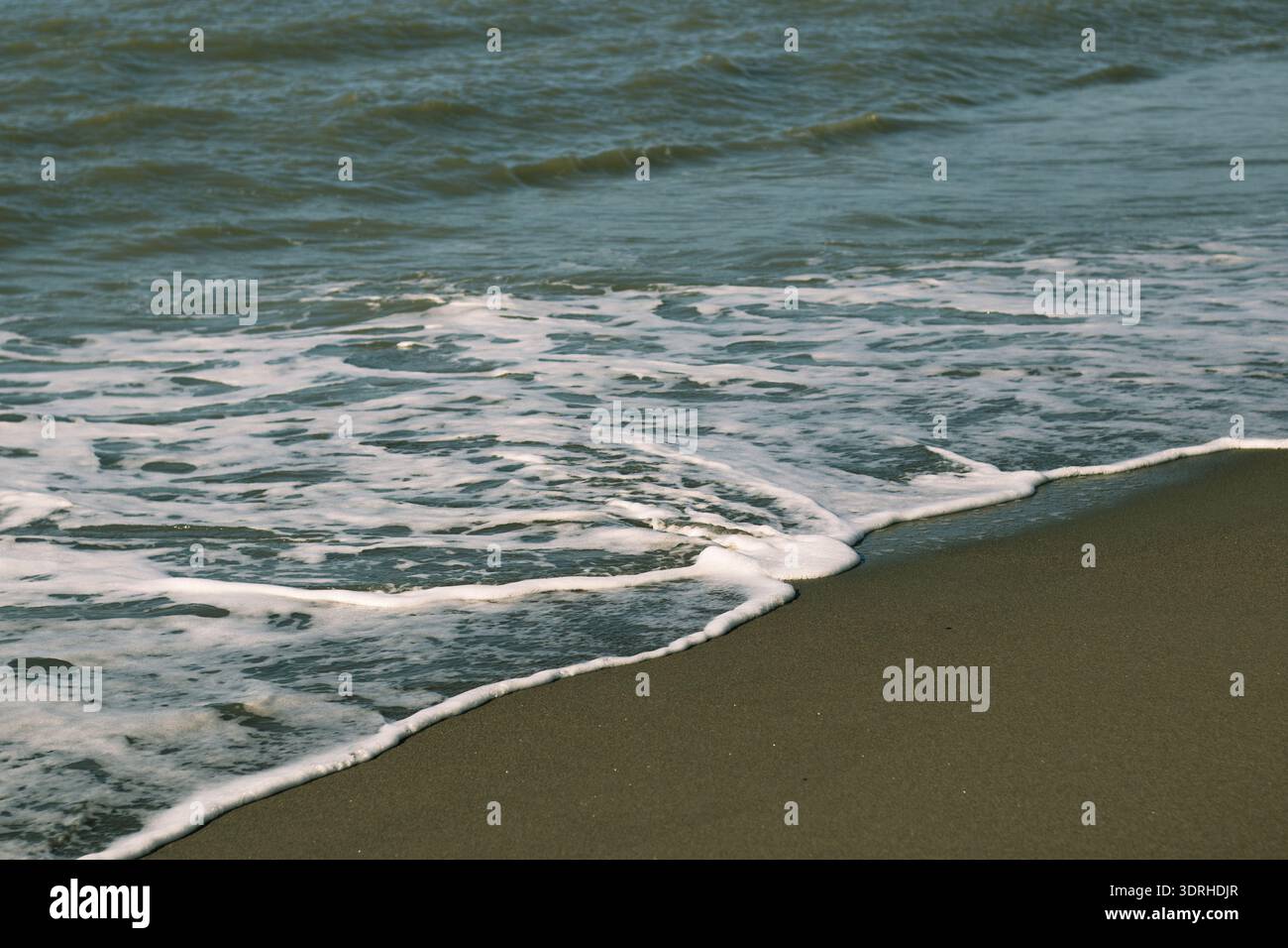 Tranquil marine environment highlighting hi-res stock photography and ...