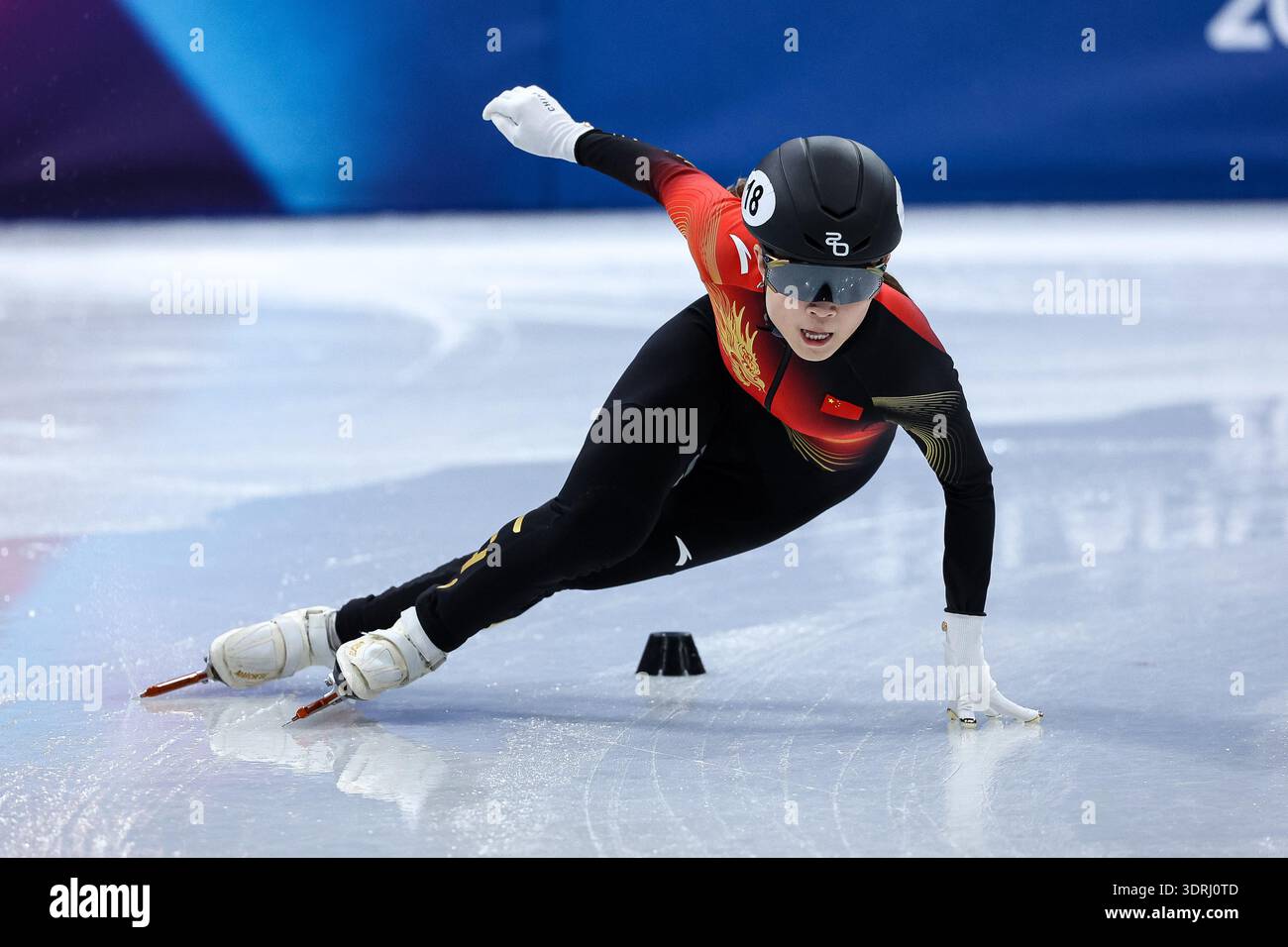 Short track speed skating womens 3000m relay finals hi-res stock ...