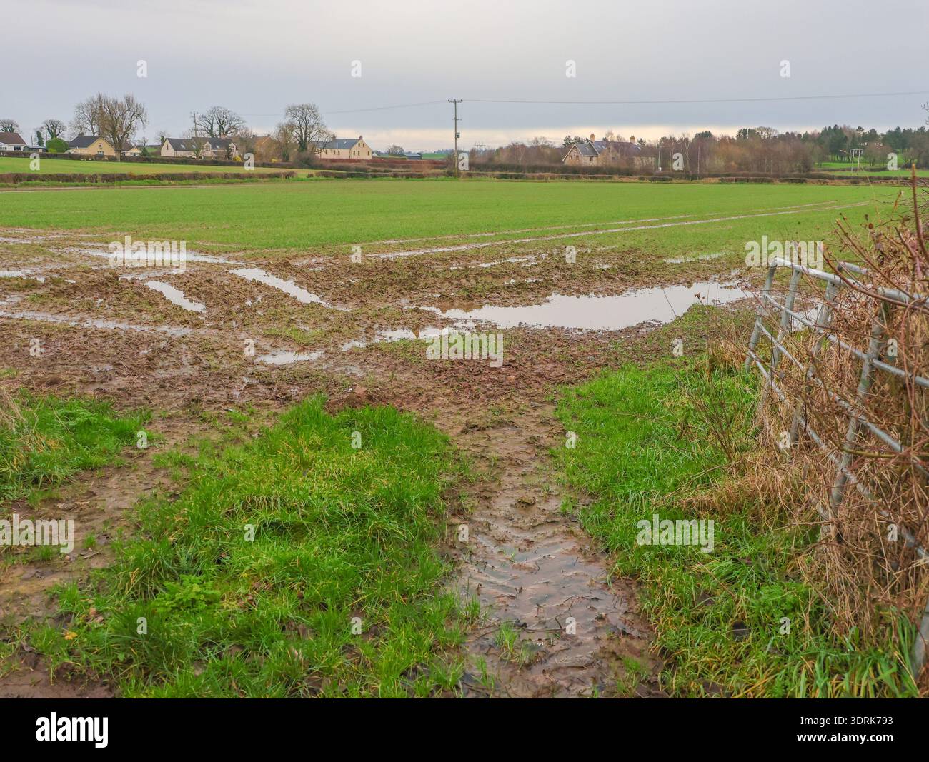 Uk weather feb 2026 hi-res stock photography and images - Alamy