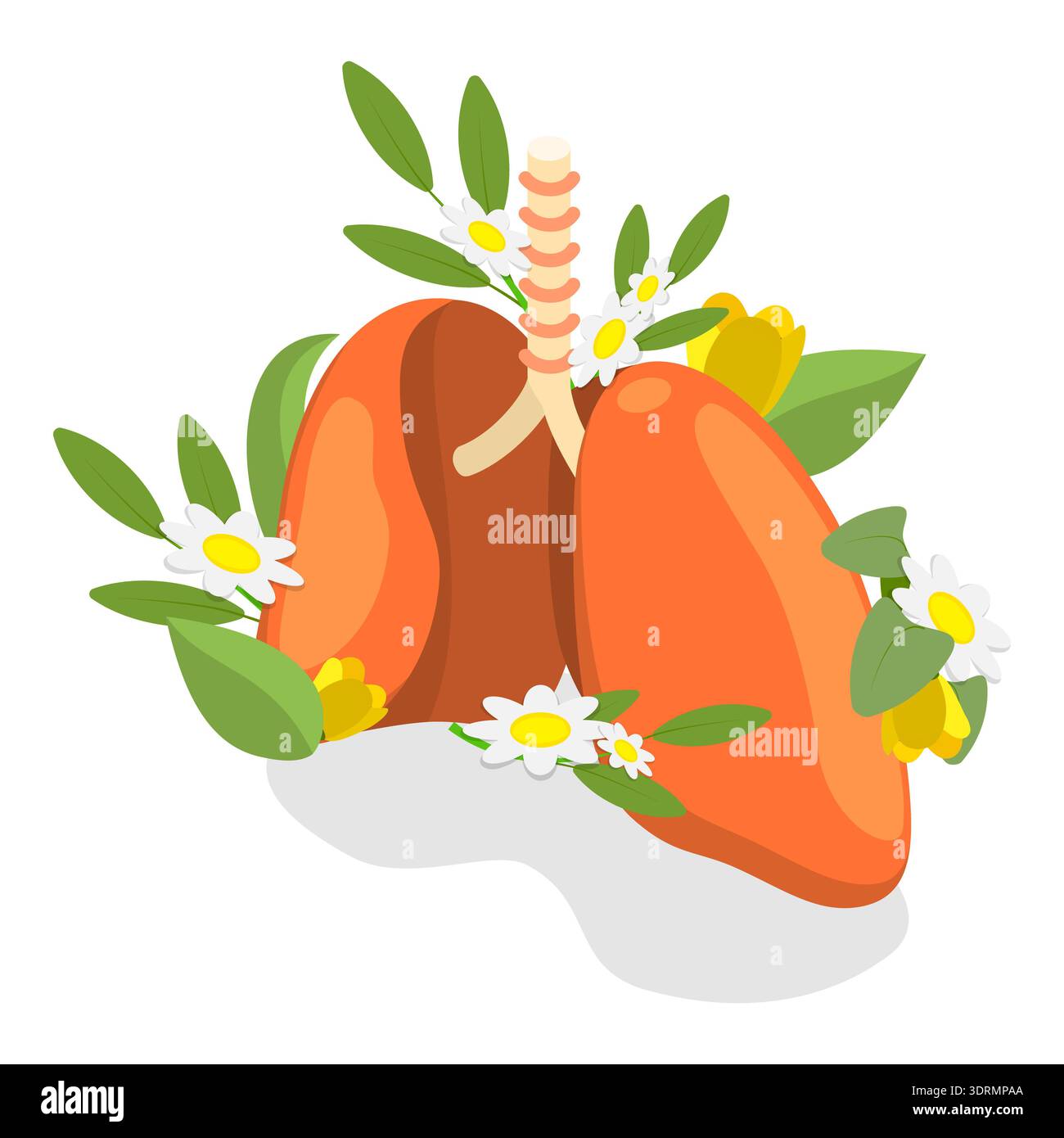 3D Isometric Flat Set of Human Organs With Flowers, Floral Internal ...