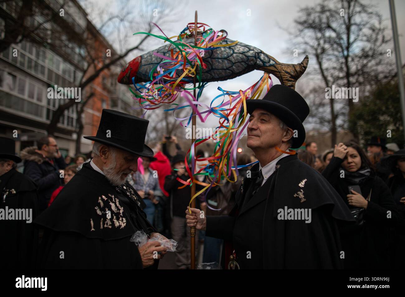 A member of the Merry Brotherhood of the Burial of the Sardine carries ...