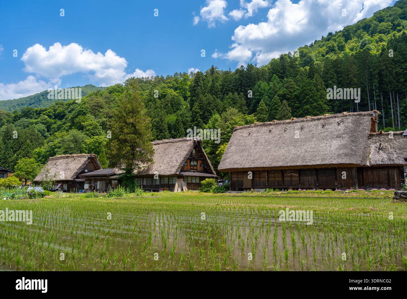 Thatched-roof houses and flooded rice paddies define the peaceful ...