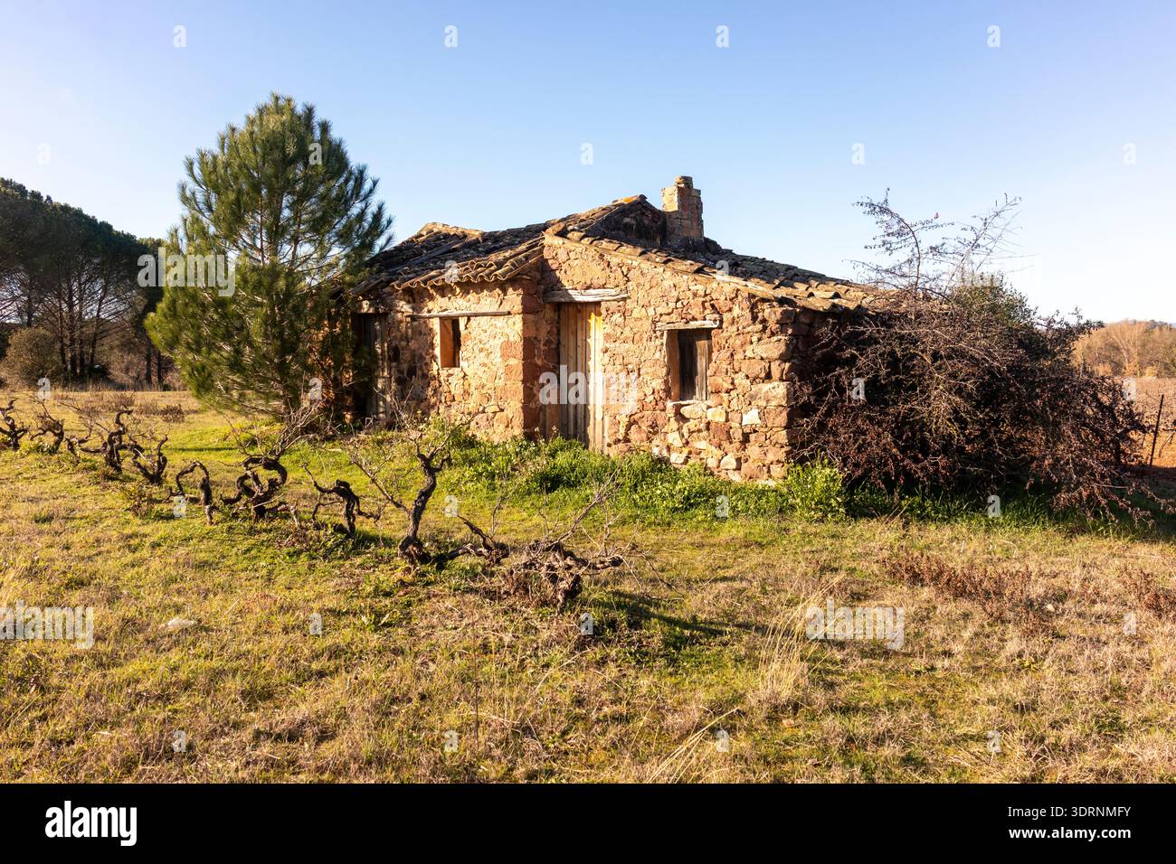 Rustic abandoned stone hut in the Provence countryside, surrounded by ...