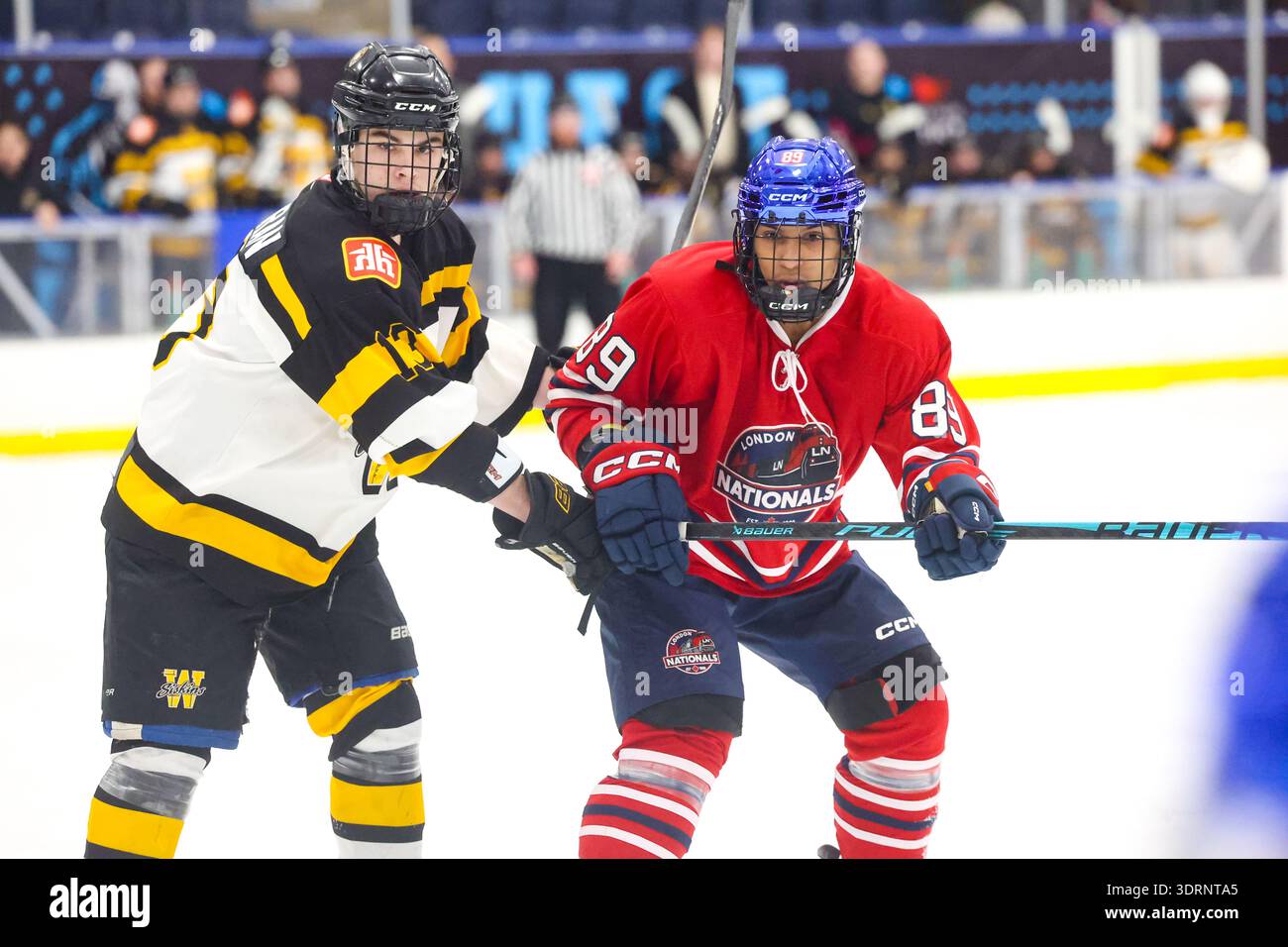 London,Canada. 18th February, 2026. Jackson Halloran (13) of the ...