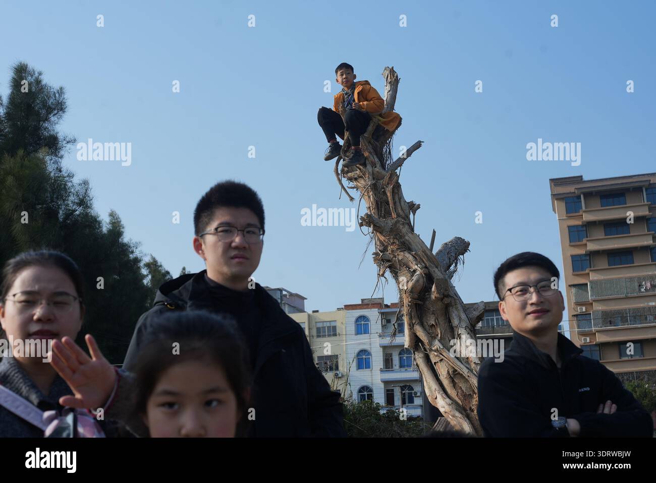 A boy perches on a tree trunk watching a parade of local deities during ...