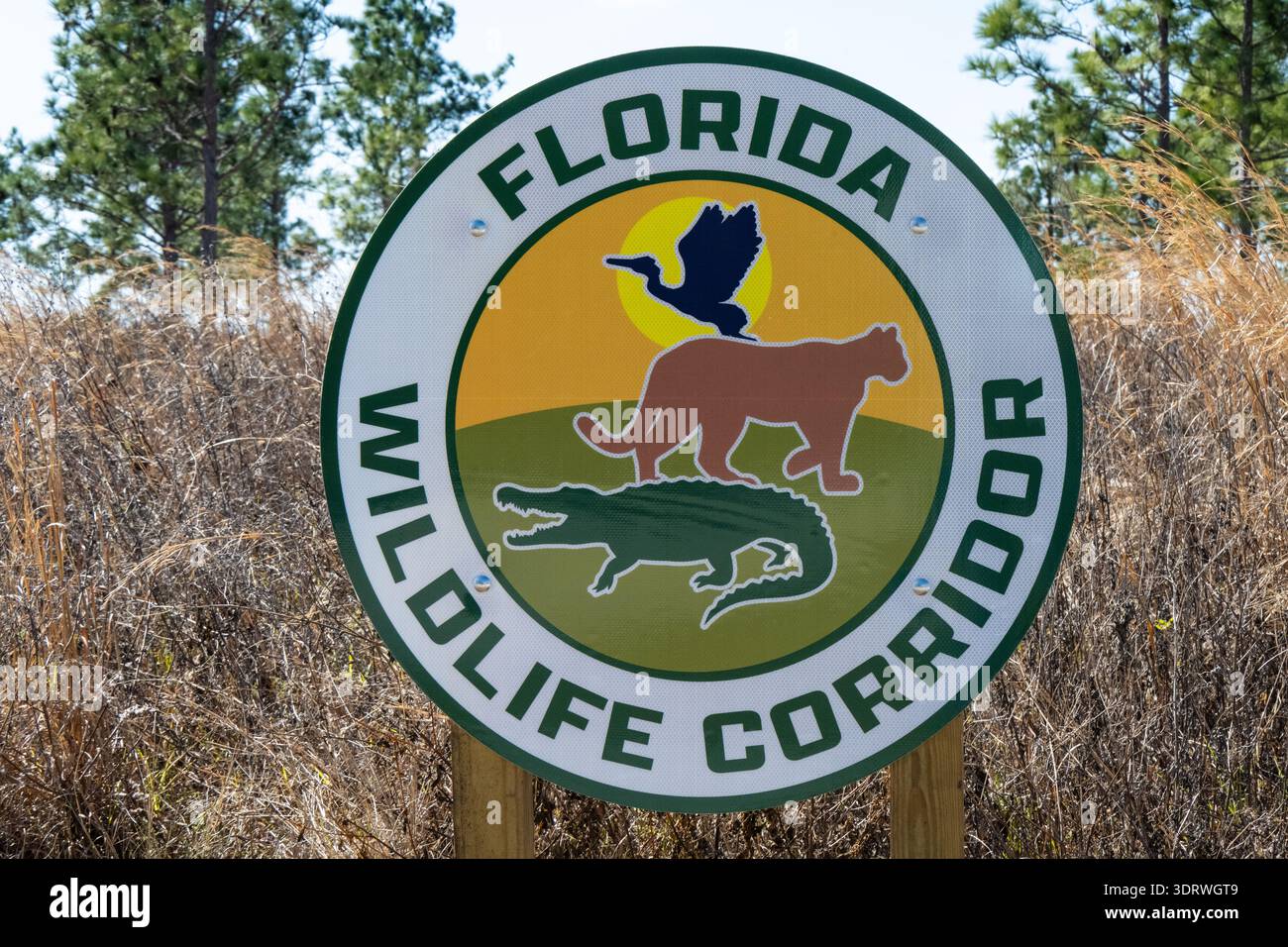 Lake louisa state park fl hi-res stock photography and images - Alamy