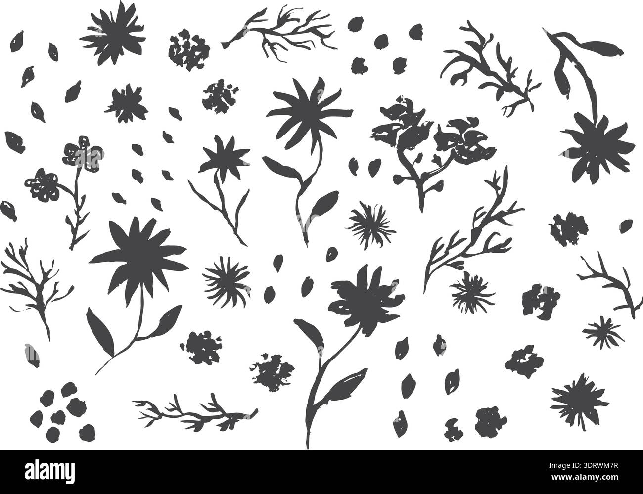 Hand drawn ink flowers Black and White Stock Photos & Images - Alamy
