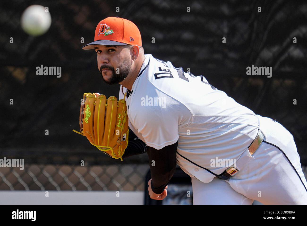 Detroit Tigers pitcher Enmanuel De Jesus throws the ball during ...