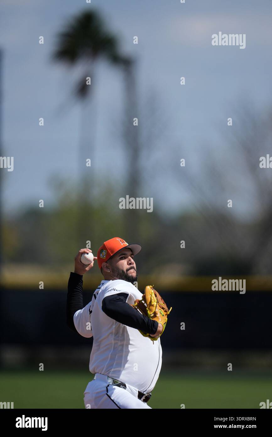 Detroit Tigers pitcher Enmanuel De Jesus throws the ball during ...