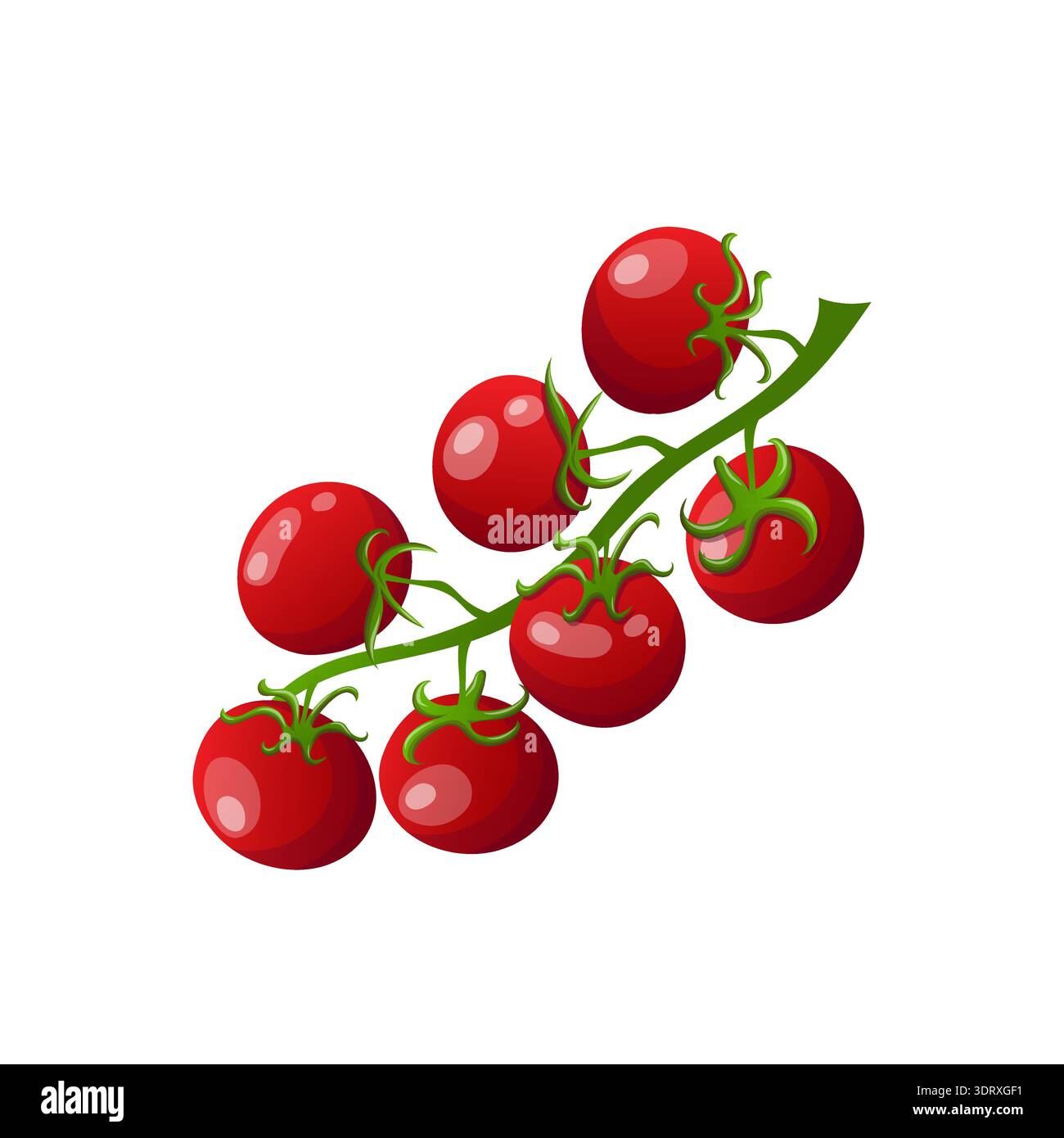 Cherry tomato vine Stock Vector Images - Alamy