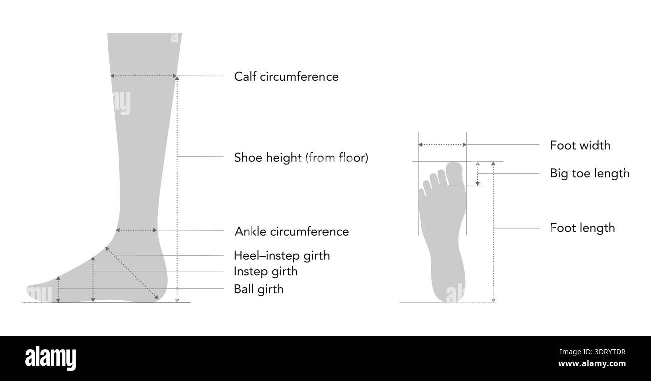 Ankle measurement Stock Vector Images - Alamy