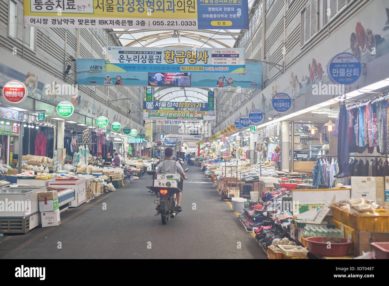 Masan dawn fish market in South Korea. Locals trade fresh seafood ...