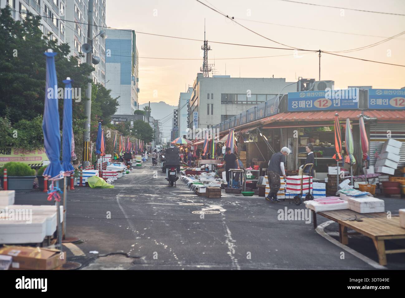Masan dawn fish market in South Korea. Locals trade fresh seafood ...