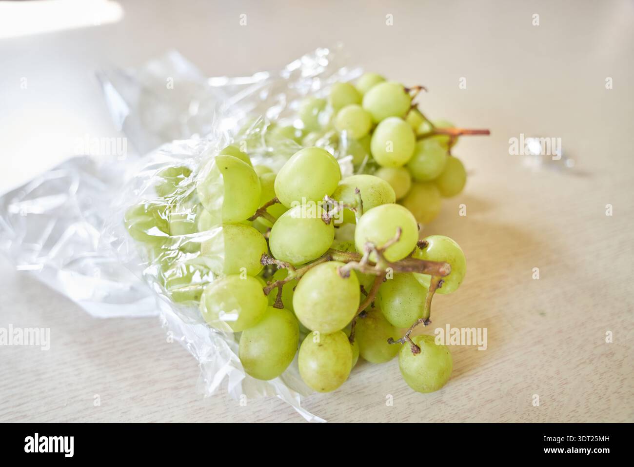 Organic Shine Muscat grapes in a Sangju orchard, South Korea. Natural ...