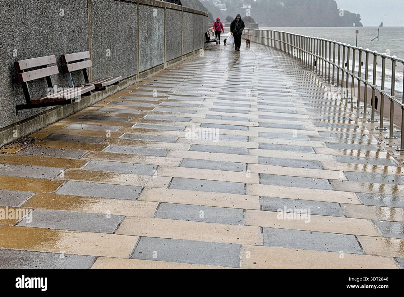Teignmouth, Devon, UK. 20th February, 2026. UK Weather: Drizzly rain at ...