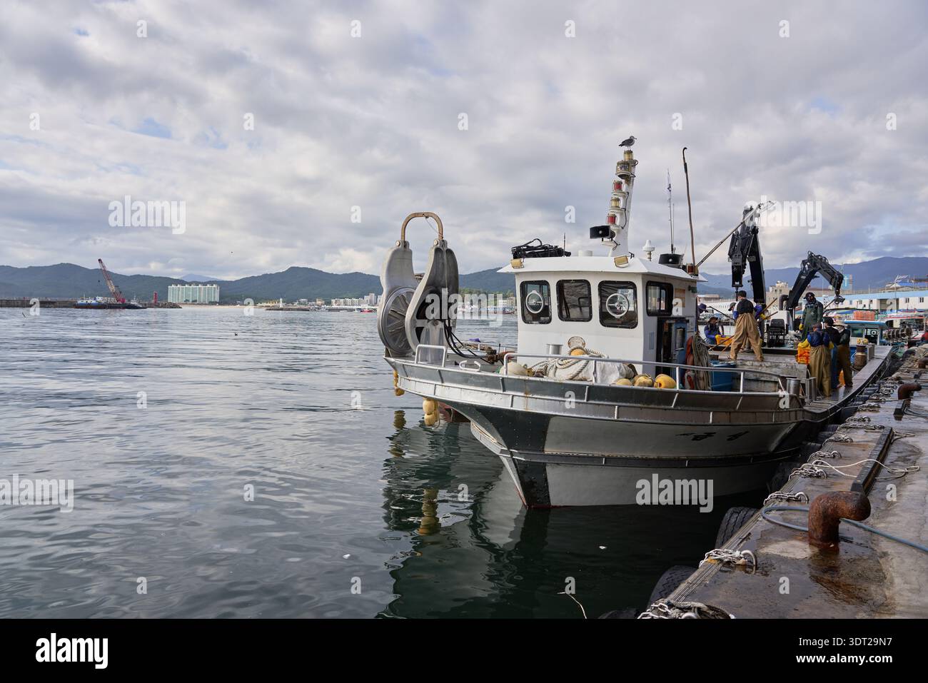 Fresh seafood like yellowtail, mackerel, and greenling caught by a ...
