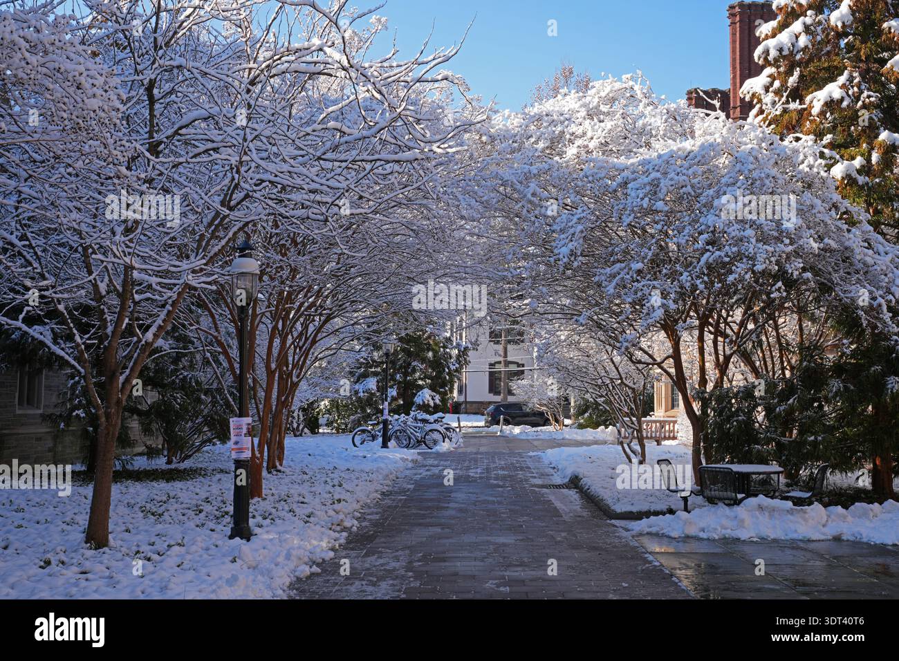 PRINCETON, NJ -19 JAN 2026- View of the campus of Princeton University ...