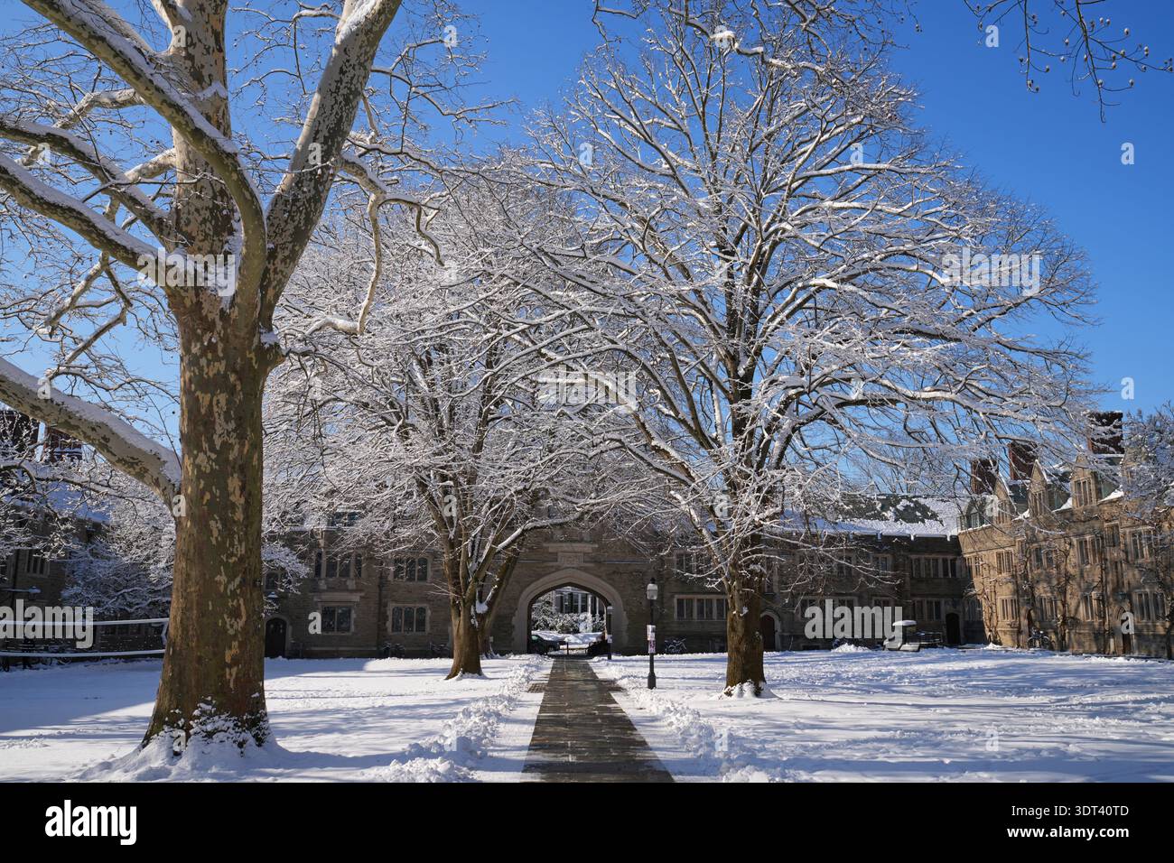 PRINCETON, NJ -19 JAN 2026- View of the campus of Princeton University ...