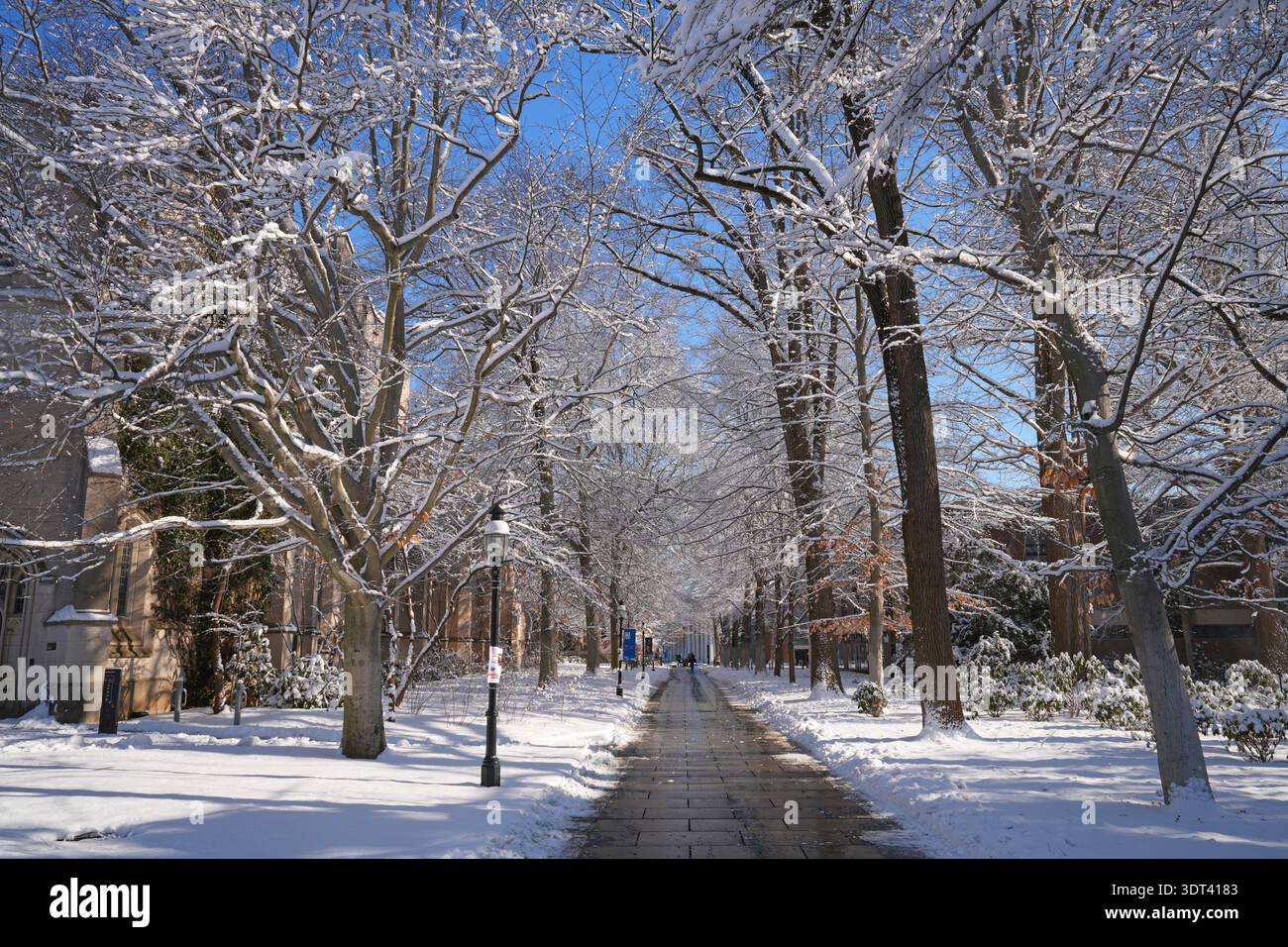 PRINCETON, NJ -19 JAN 2026- View of the campus of Princeton University ...