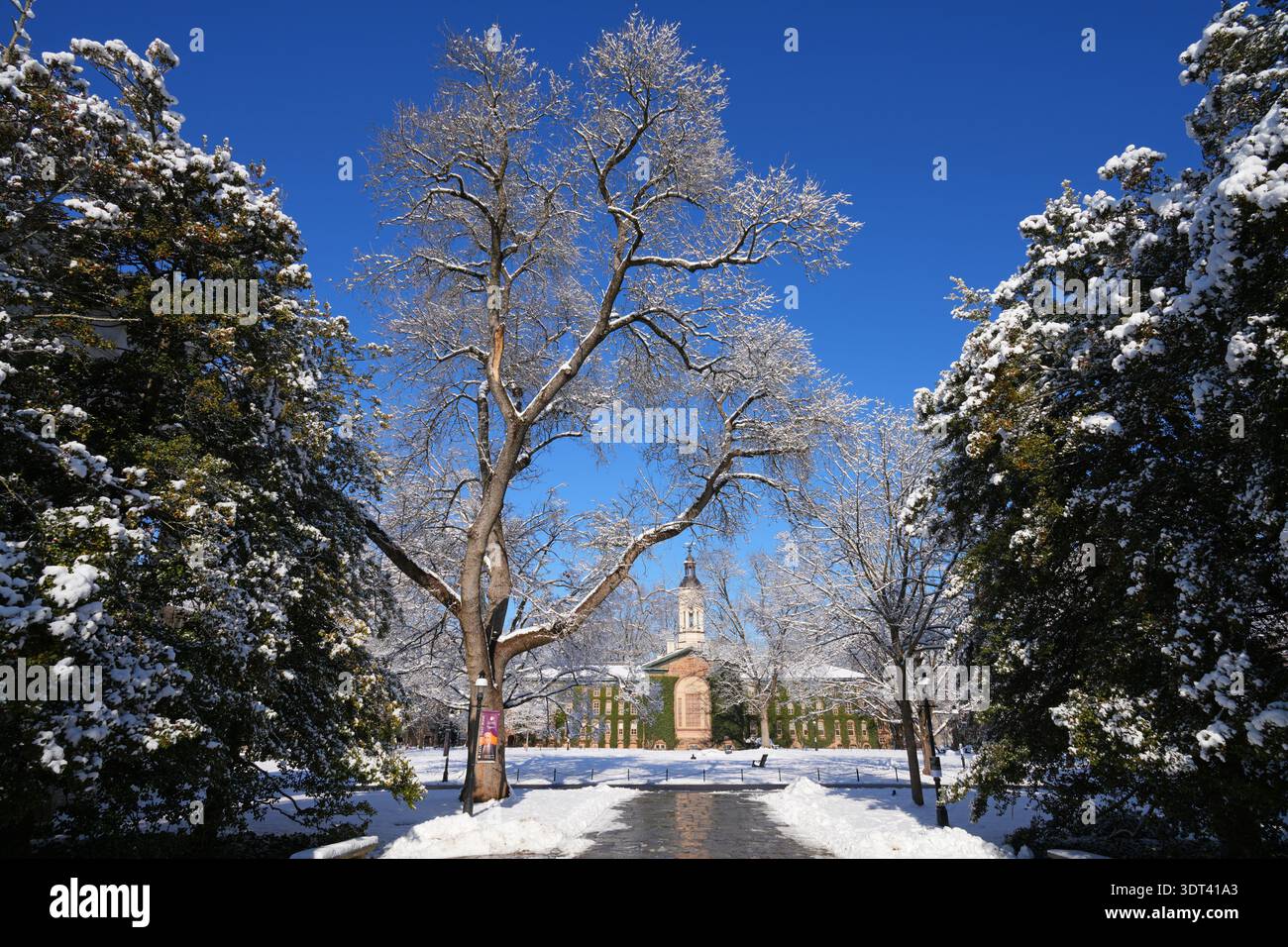 PRINCETON, NJ -19 JAN 2026- View of the campus of Princeton University ...