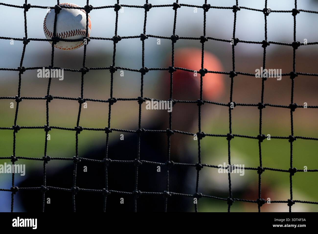 Detroit Tigers pitcher Troy Watson pitches during workouts at spring ...