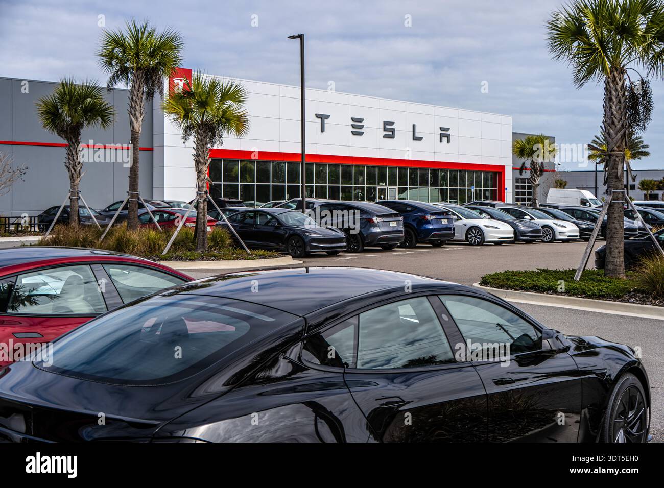 Tesla electric car dealership in Jacksonville, Florida. (USA Stock ...