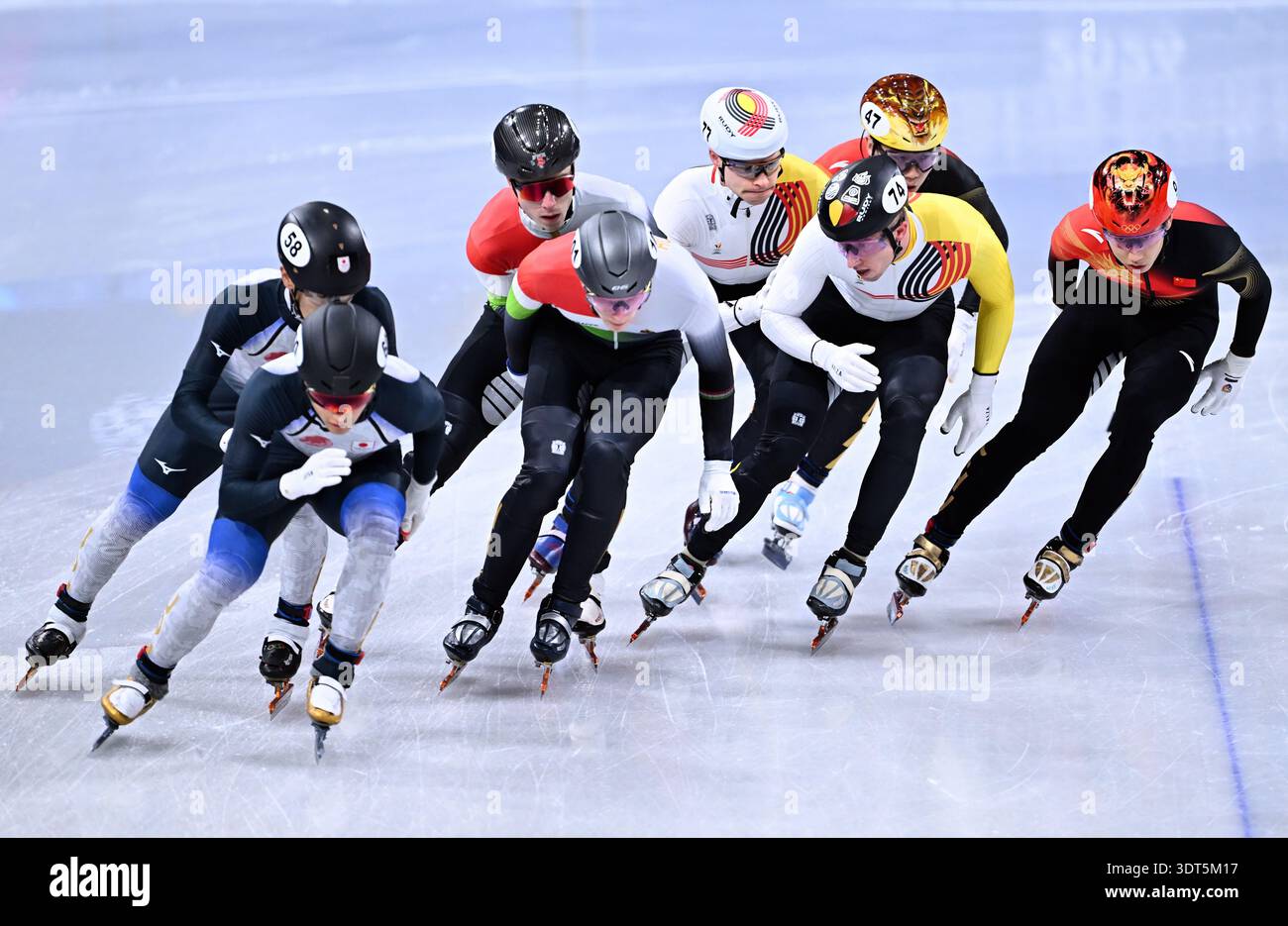 Belgian shorttrack skater Warre Van Damme and Belgian shorttrack skater ...