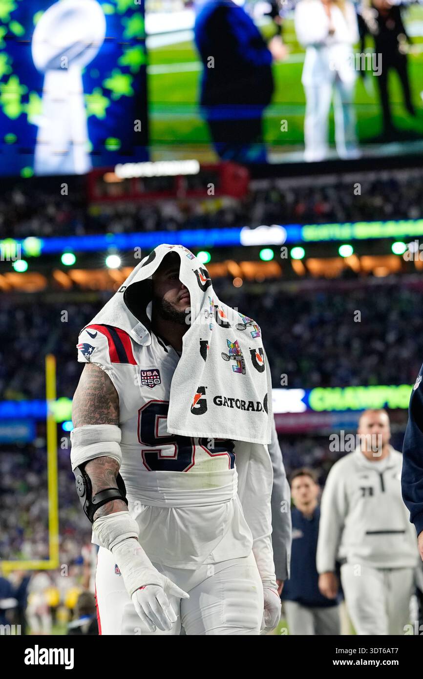 New England Patriots defensive tackle Cory Durden leaves the field ...