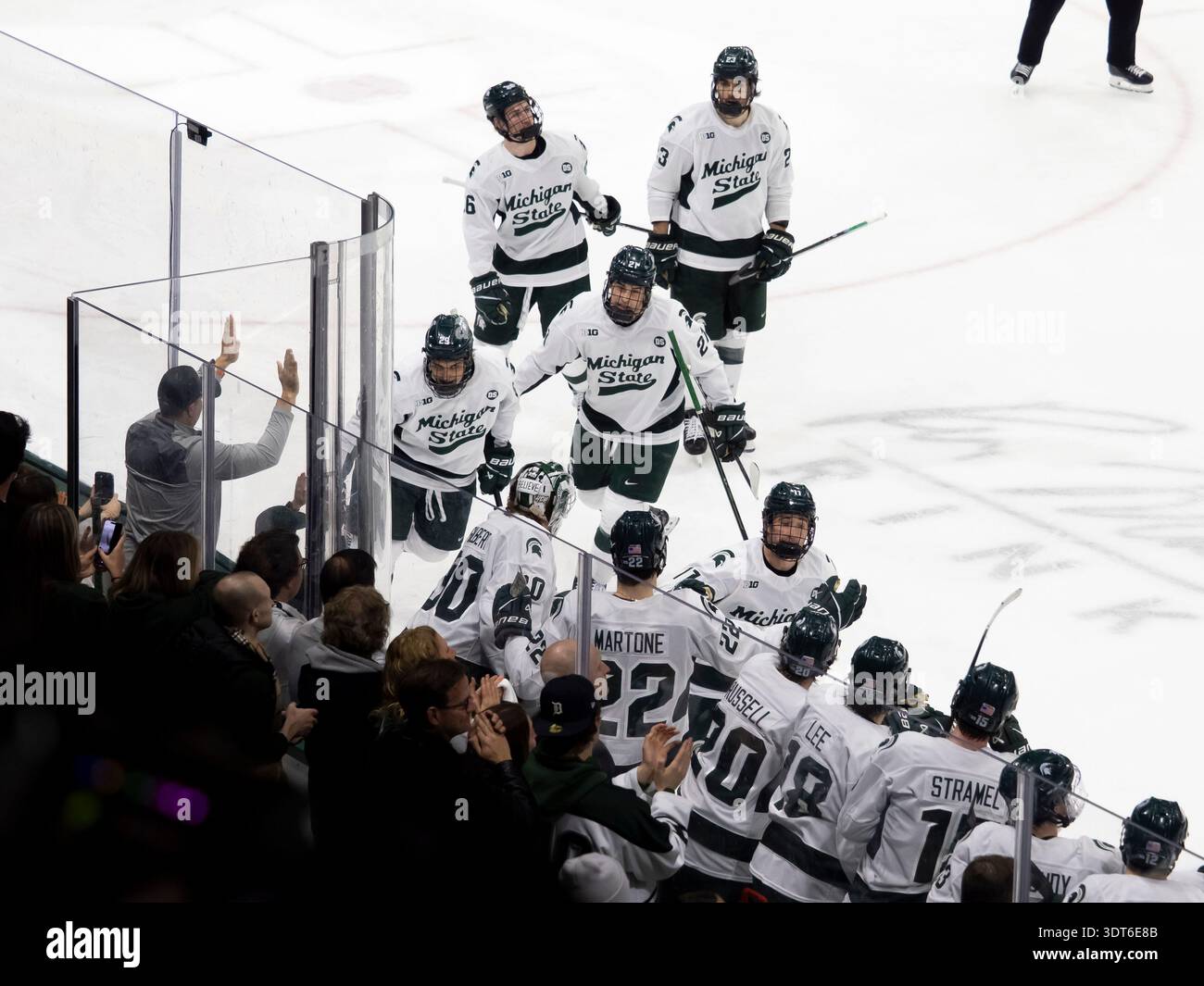 EAST LANSING, MI - FEBRUARY 20: Michigan State Spartans defenseman Owen ...