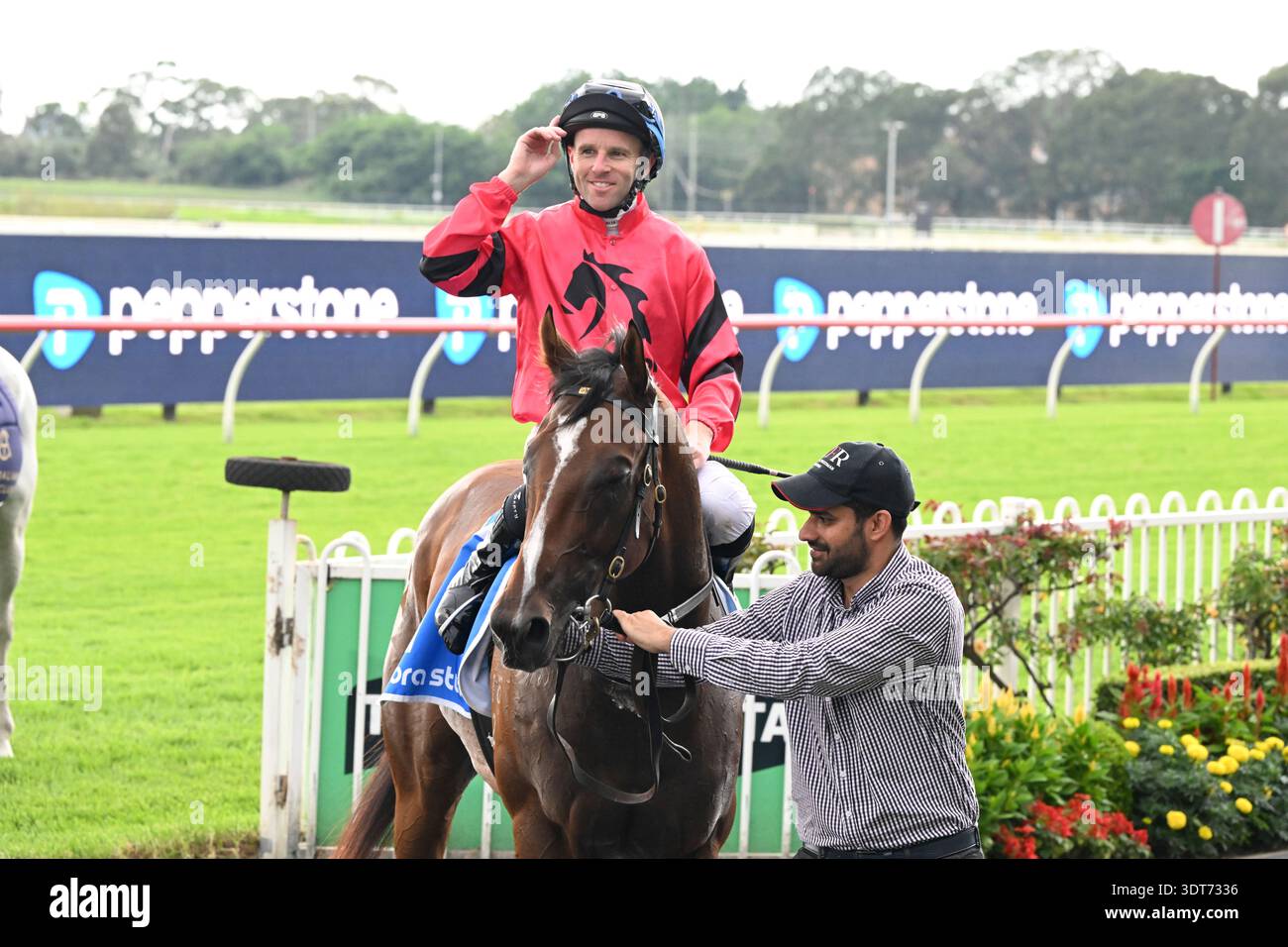 NINJA,S 8 RH 21022026 B145 Ninja in the Kia Ora Hobartville Stakes ...
