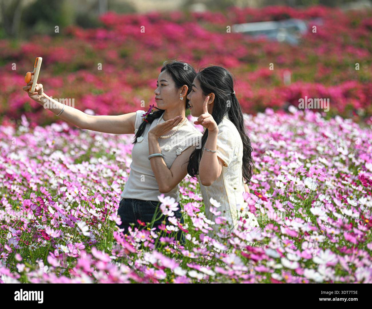 (260221) -- CHANGJIANG, Feb. 21, 2026 (Xinhua) -- Tourists pose for a ...