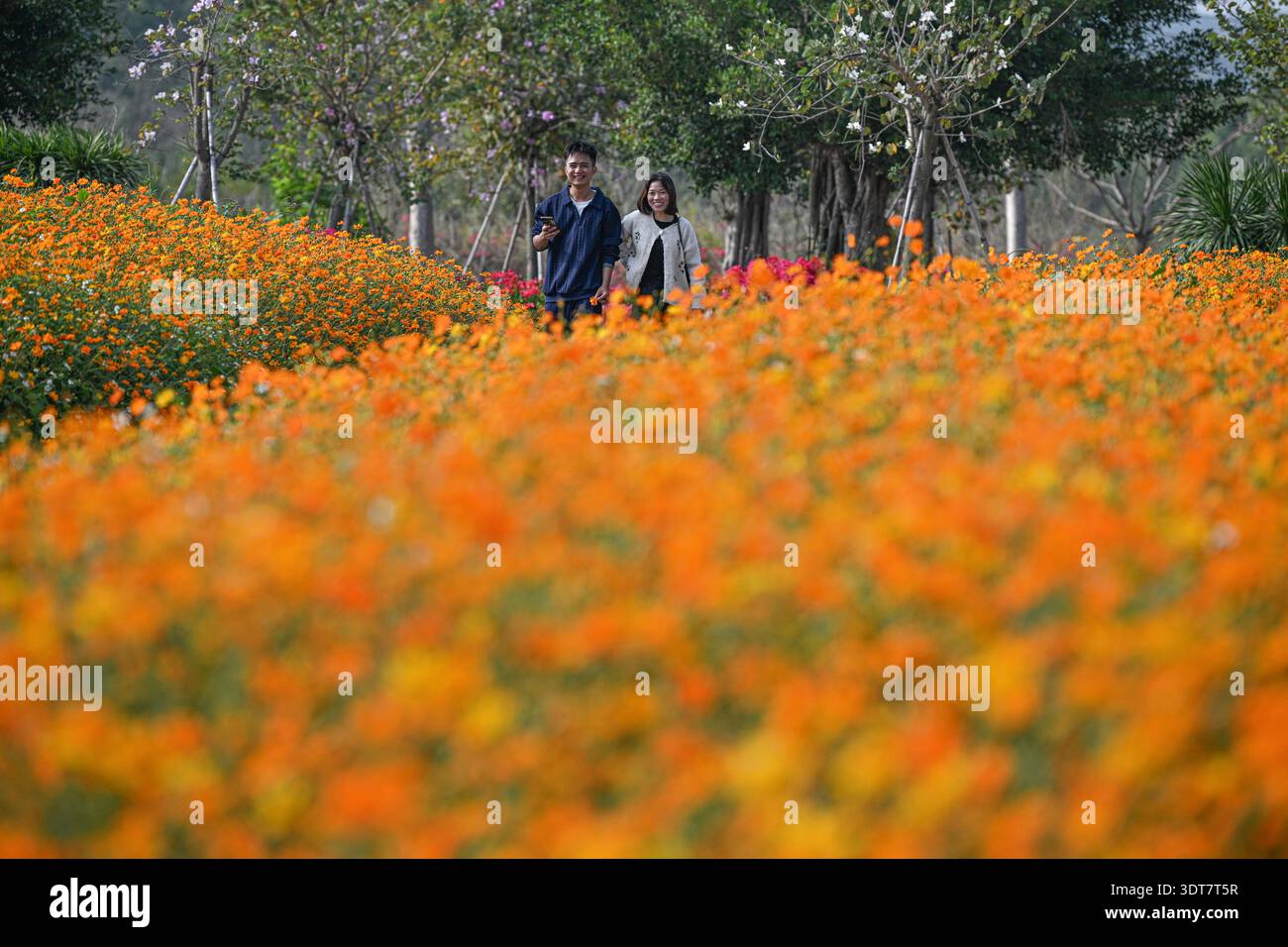 (260221) -- CHANGJIANG, Feb. 21, 2026 (Xinhua) -- Tourists walk amid ...