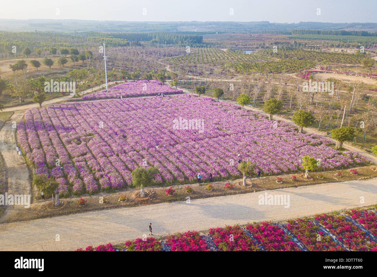 Changjiang, China's Hainan Province. 20th Feb, 2026. A drone photo ...