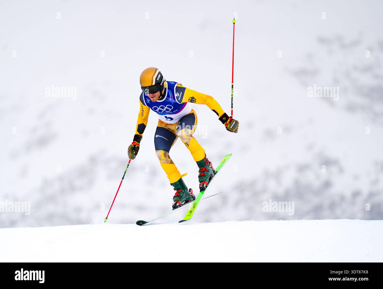 Germany's Tim Hronek during the Freestyle Skiing Men's Ski Cross at the ...