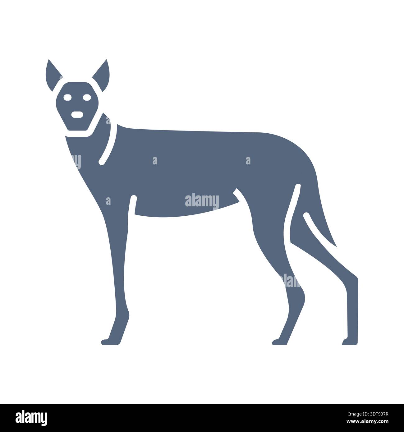 Indian wolf pup Stock Vector Images - Alamy