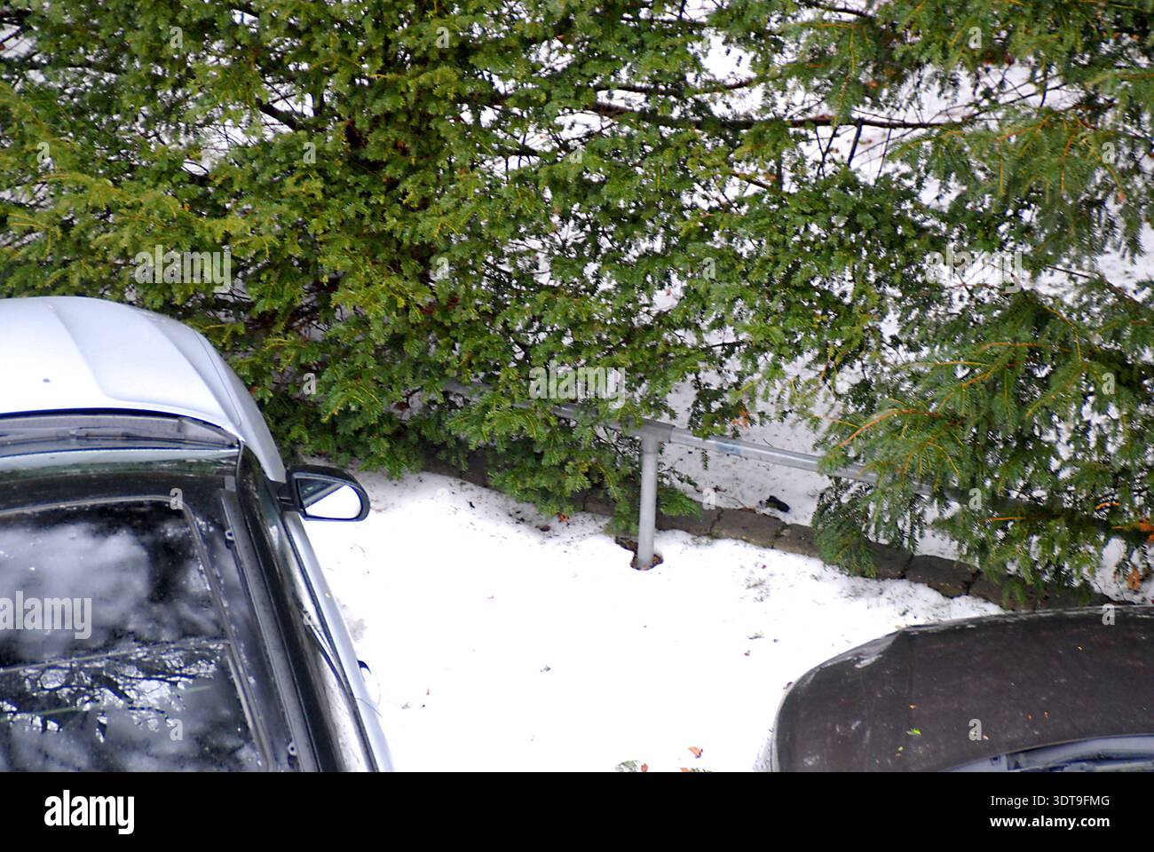 Copenhagen/Denmark /21 FEB 2026 /white snow and cold winter in danish ...