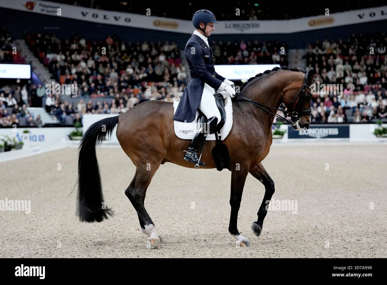 GOTHENBURG, SWEDEN 20260221Patrik Kittel, Sweden, on the horse ...