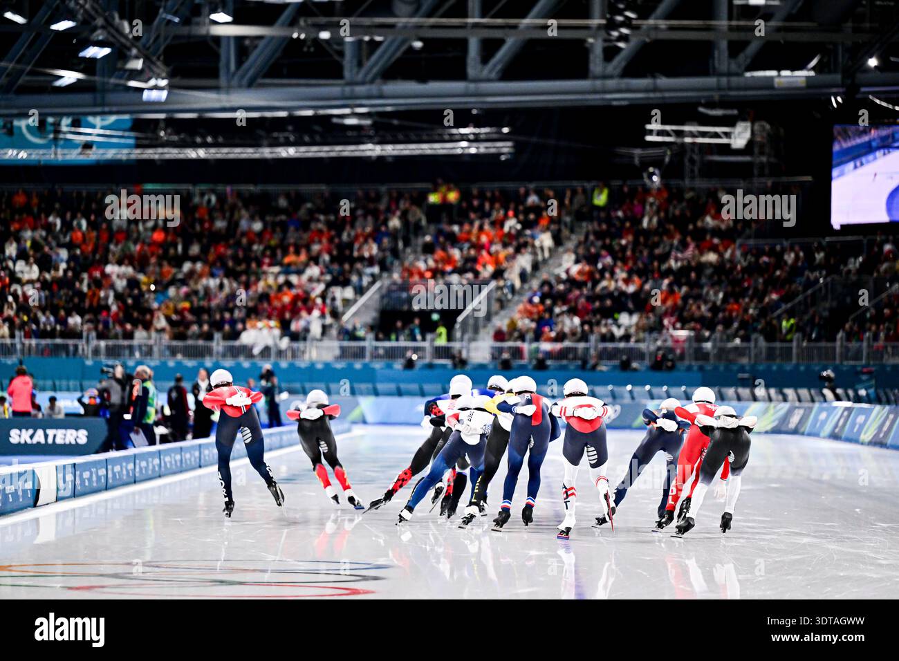 Speed Skating Men's Mass Start, Speed Skating, at the Olympic Winter ...