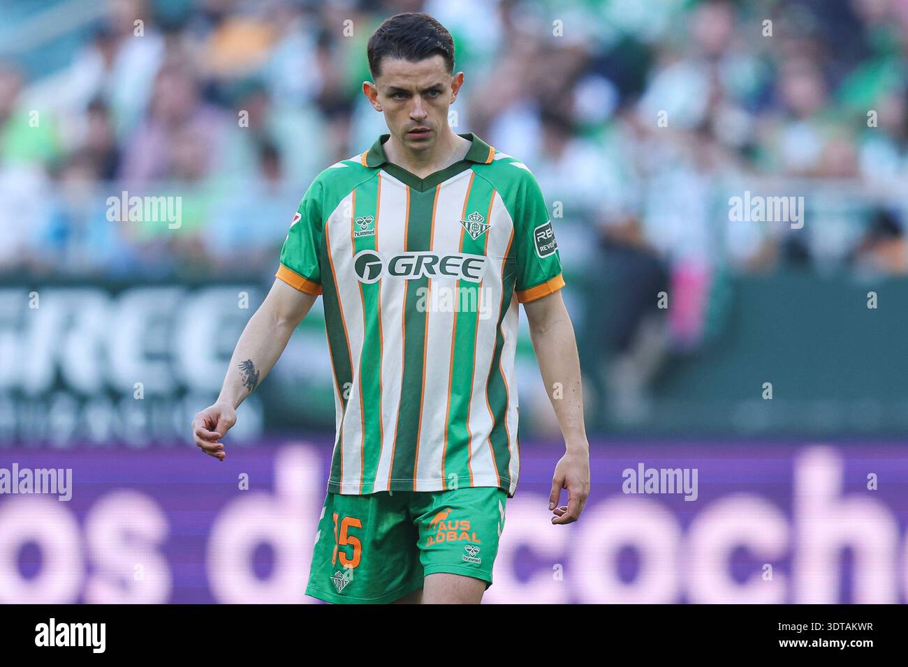 Alvaro Fidalgo of Real Betis during the La Liga EA Sports match between ...